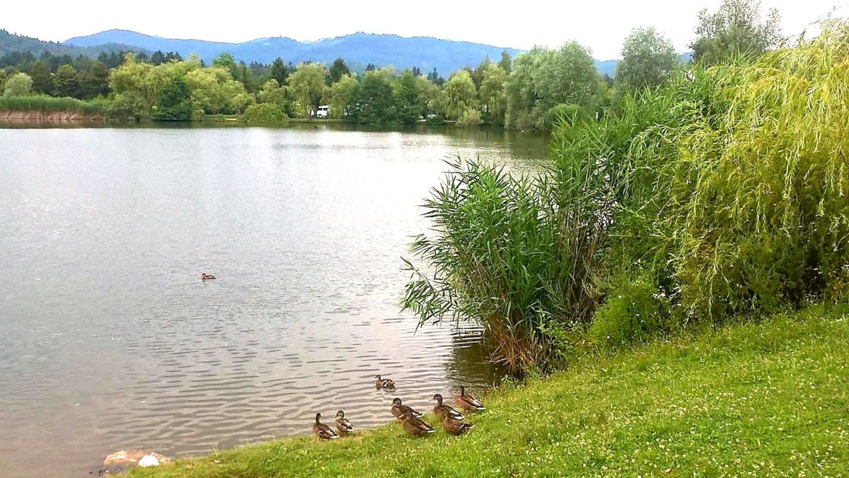 5 Ljubljana neighbourhoods to visit!